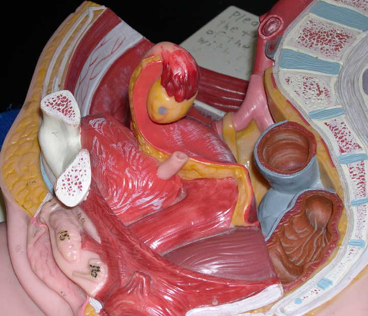 New Page 1 [ic.arc.losrios.edu]